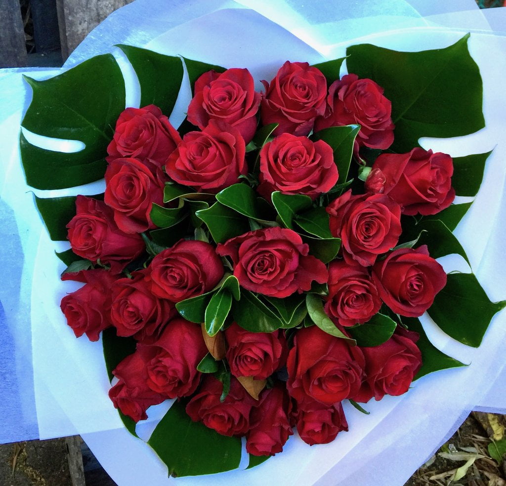 24 Red Roses - The Flower Manor